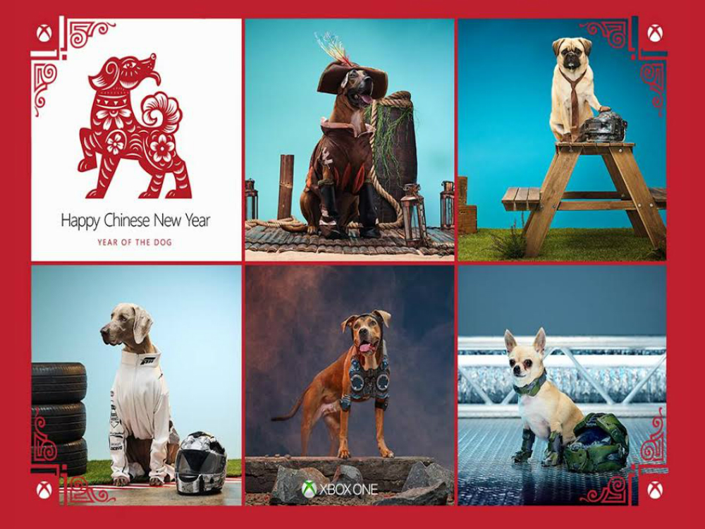 Celebrate The Year Of The Dog With Xbox CosPups! - NXT