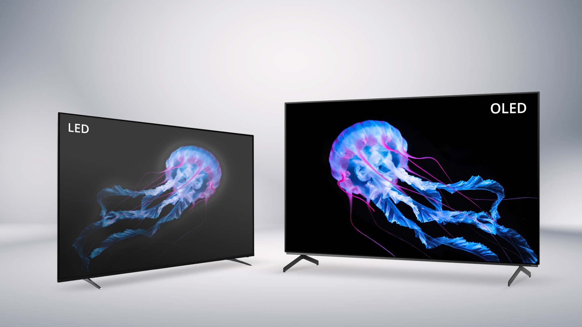 Bring the Cinema Home with the New PRISM+ Line Up - NXT