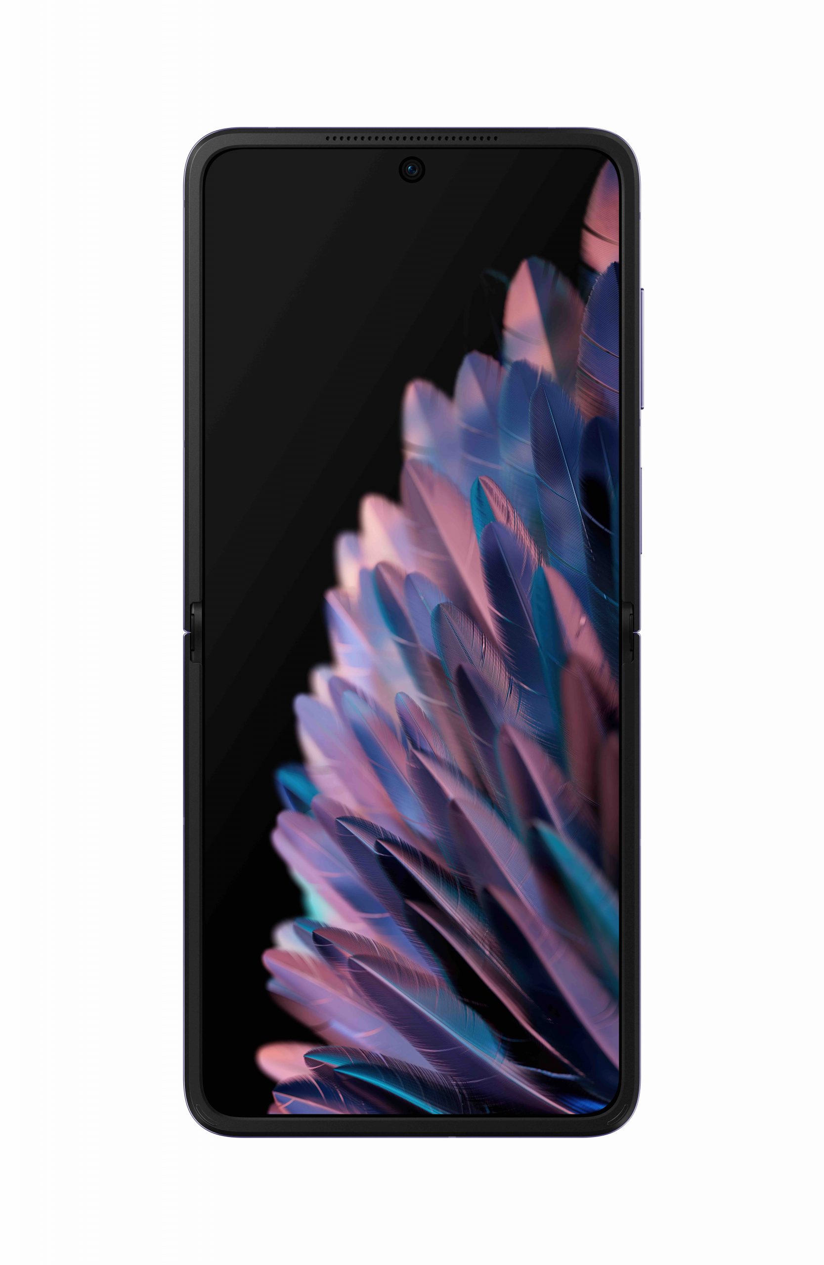 6. Moonlight Purple - NXT