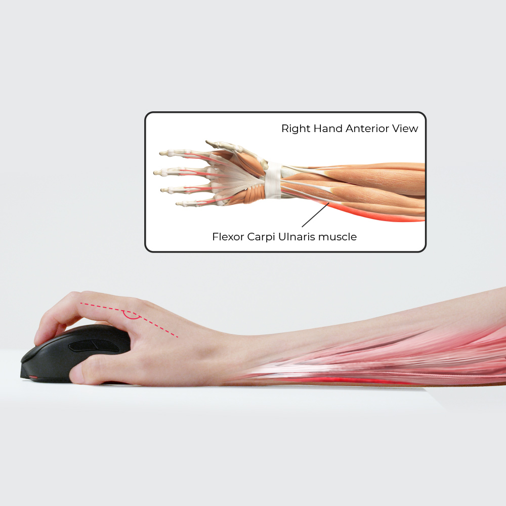 The EC-CW boasts an outstanding anti-fatigue feature that targets the ...